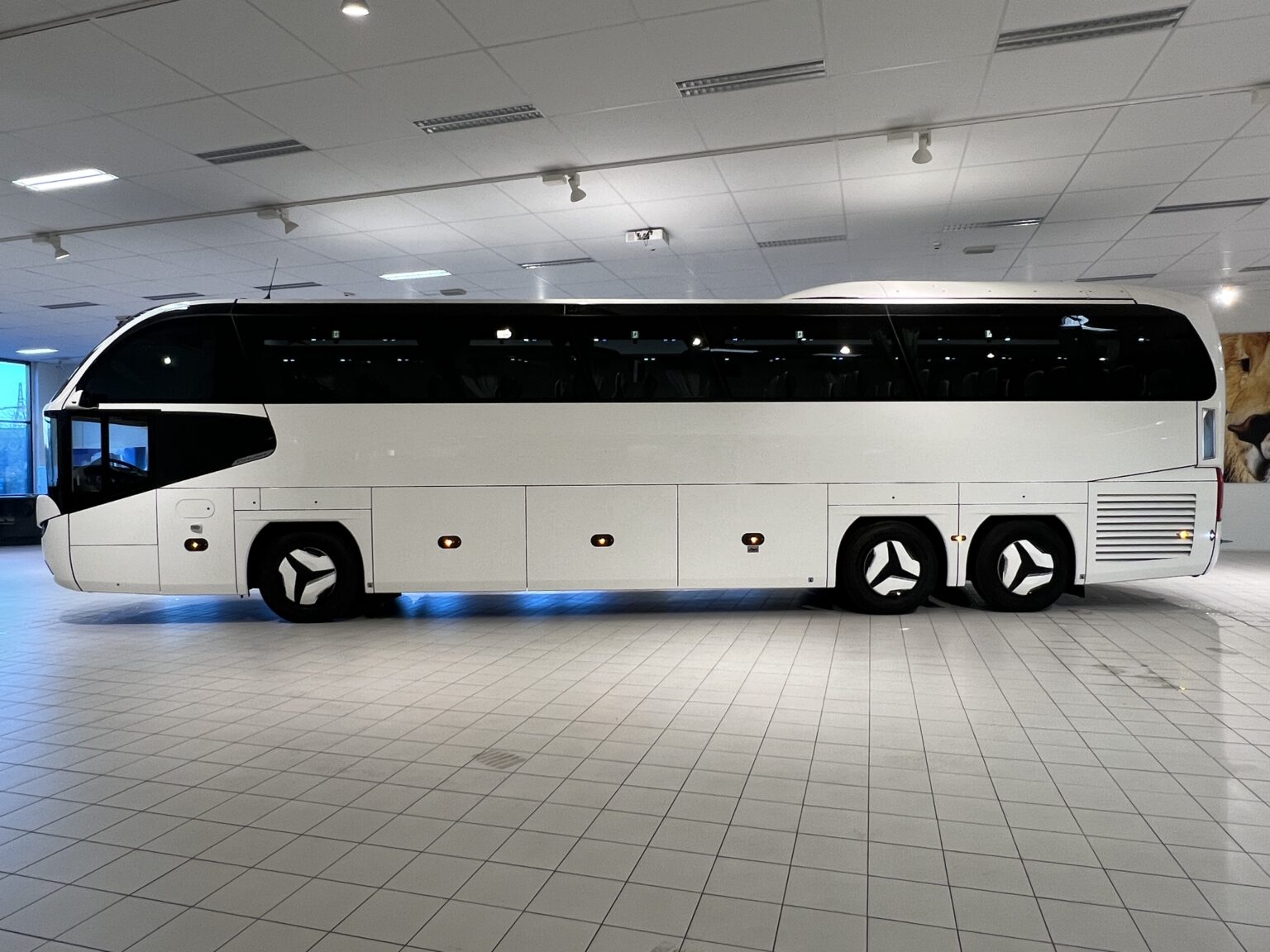 Neoplan Cityliner P15 Euro 6E V.I.P Class (Light Edition) - Neoplan
